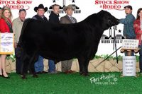SIRES – Conley Cattle