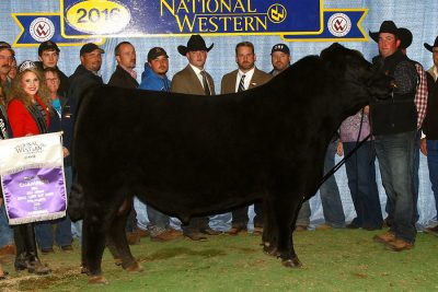 SIRES – Conley Cattle