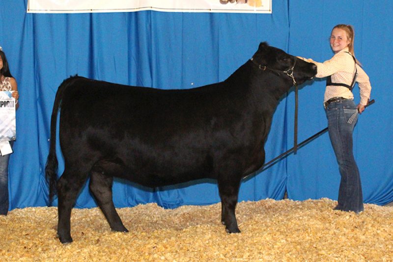 WINNERS – Conley Cattle