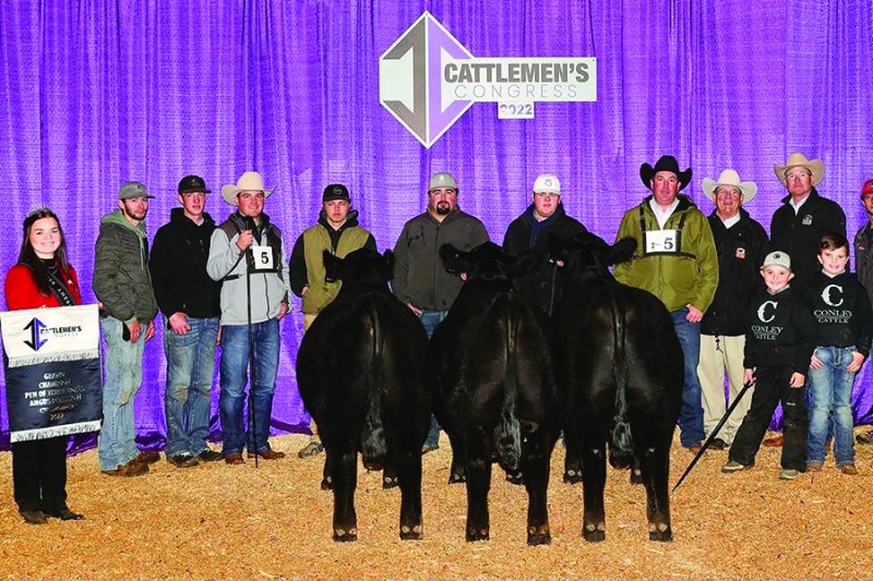 WINNERS – Conley Cattle