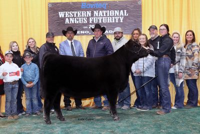 WINNERS – Conley Cattle