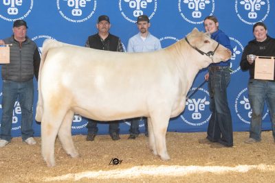 WINNERS – Conley Cattle
