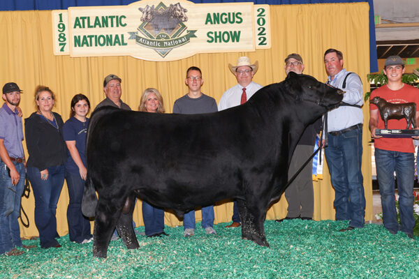 WINNERS – Conley Cattle