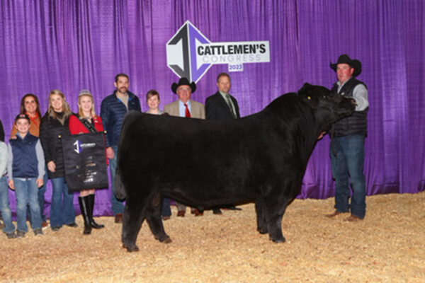WINNERS – Conley Cattle