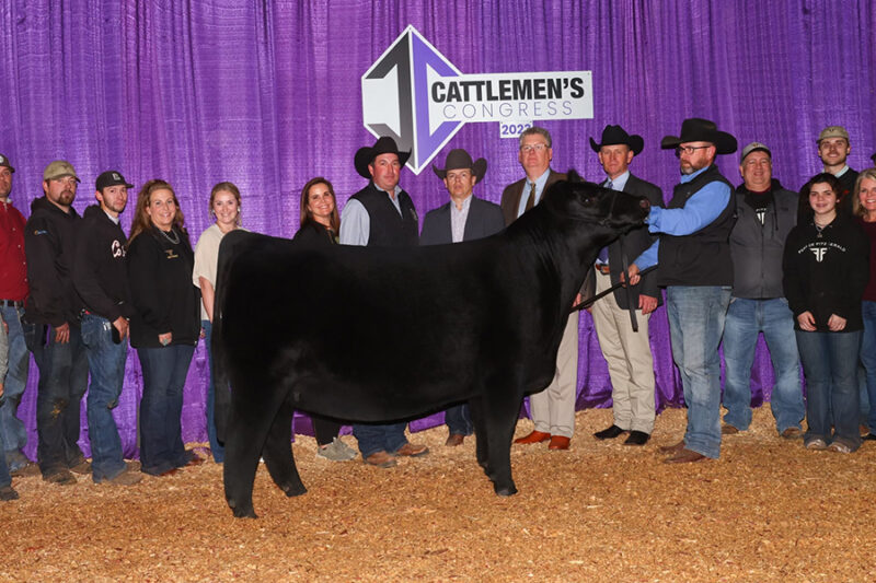 WINNERS – Conley Cattle