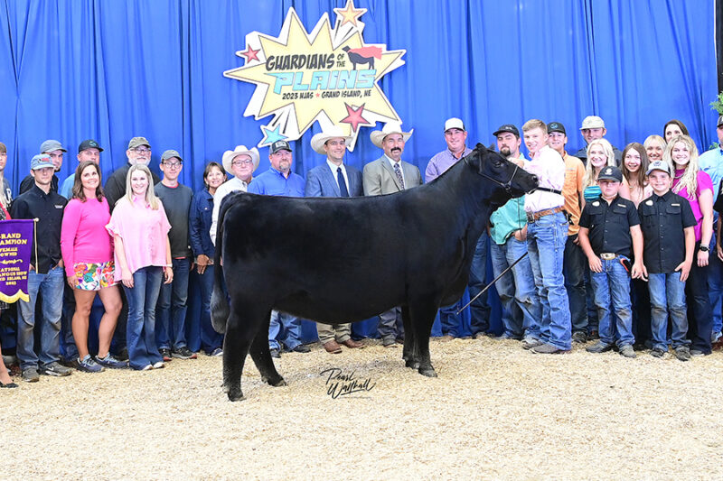 WINNERS – Conley Cattle
