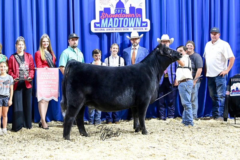 WINNERS – Conley Cattle