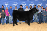 WINNERS – Conley Cattle
