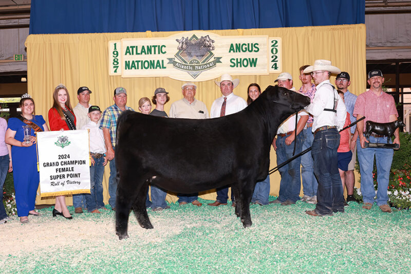 WINNERS – Conley Cattle