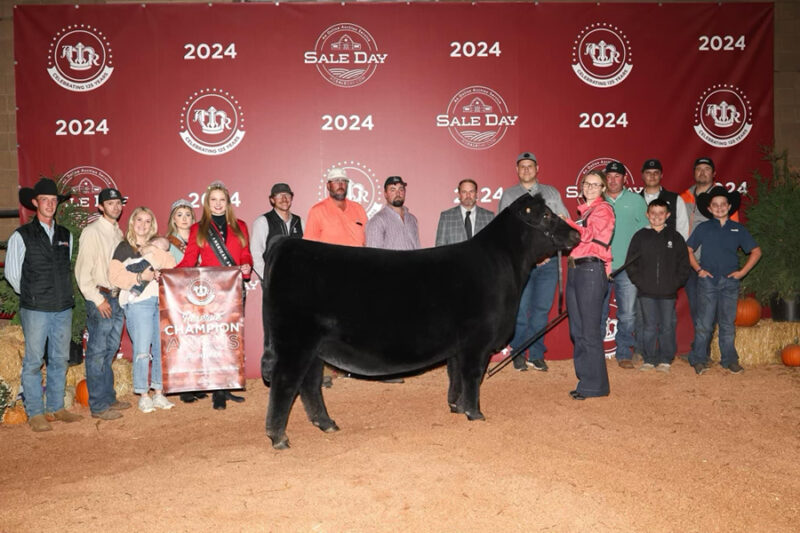 WINNERS – Conley Cattle